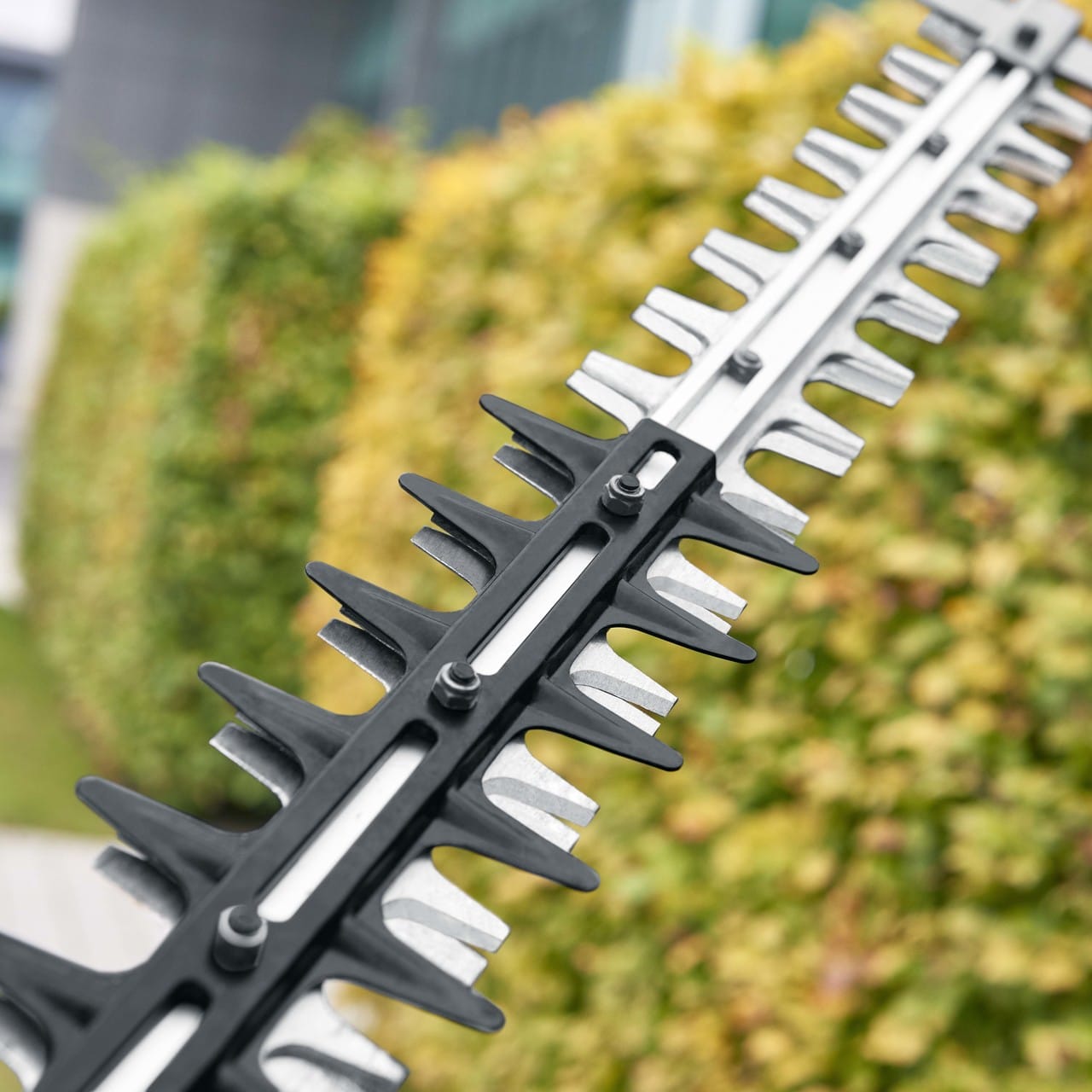 HTX6500 65cm Professional-X Hedge Trimmer - Ego Power+