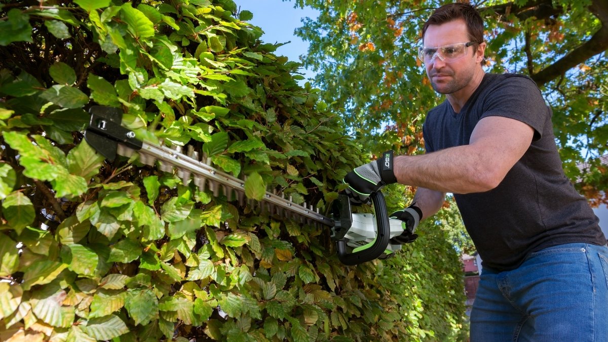 Common hedge trimming mistakes (and how to avoid them) - Ego Power+